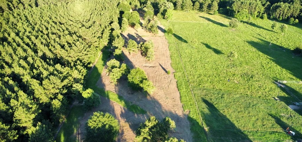 Professional Forestry Mulching Services for Efficient Land Clearing